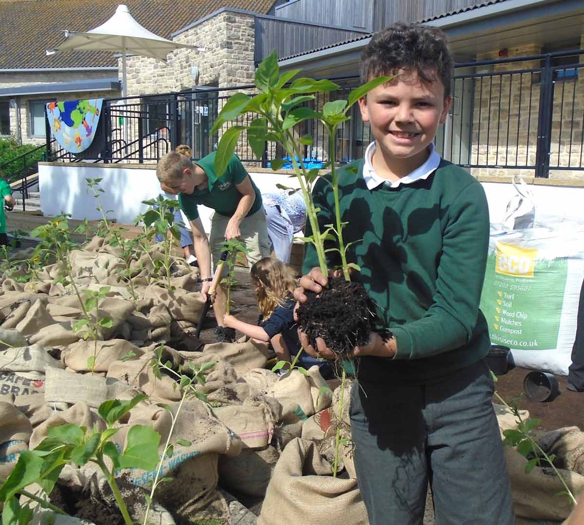 Eco collaborates with The Arts Development Company for Sunflower ...