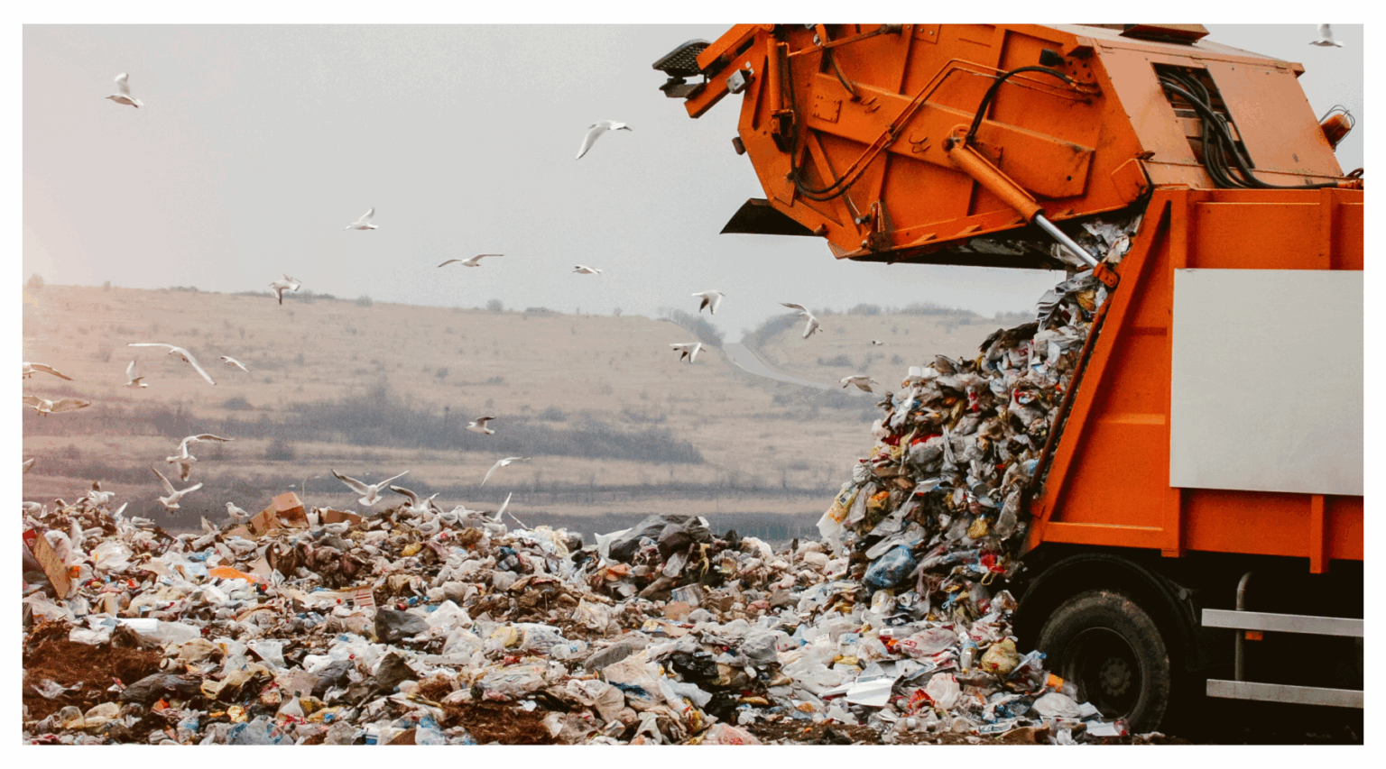 How Councils Can Reduce Landfill Waste | This Is Eco
