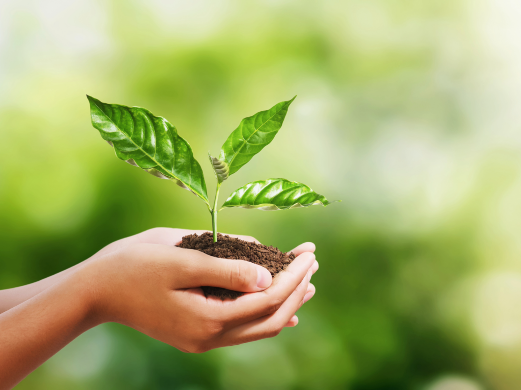 4 Eco-Friendly Inventions | This Is Eco